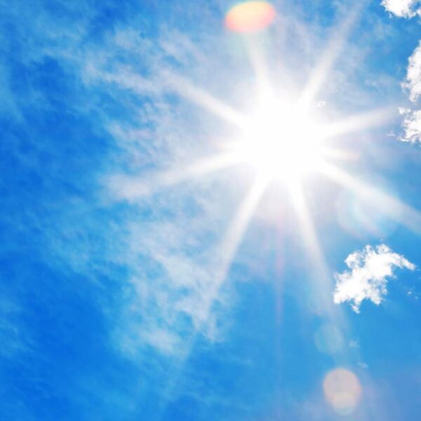 Bushing Covers | Transformer Bushing Guards for Electric Utilities